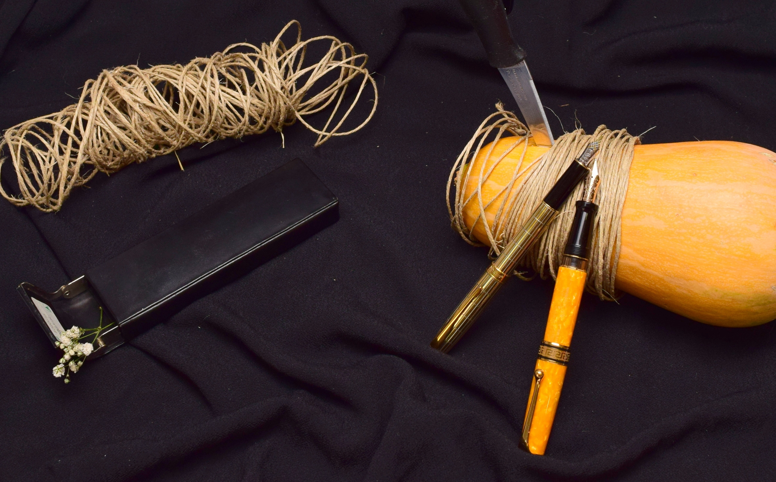 Scary Pens Gallery Halloween special fountain pen photo session