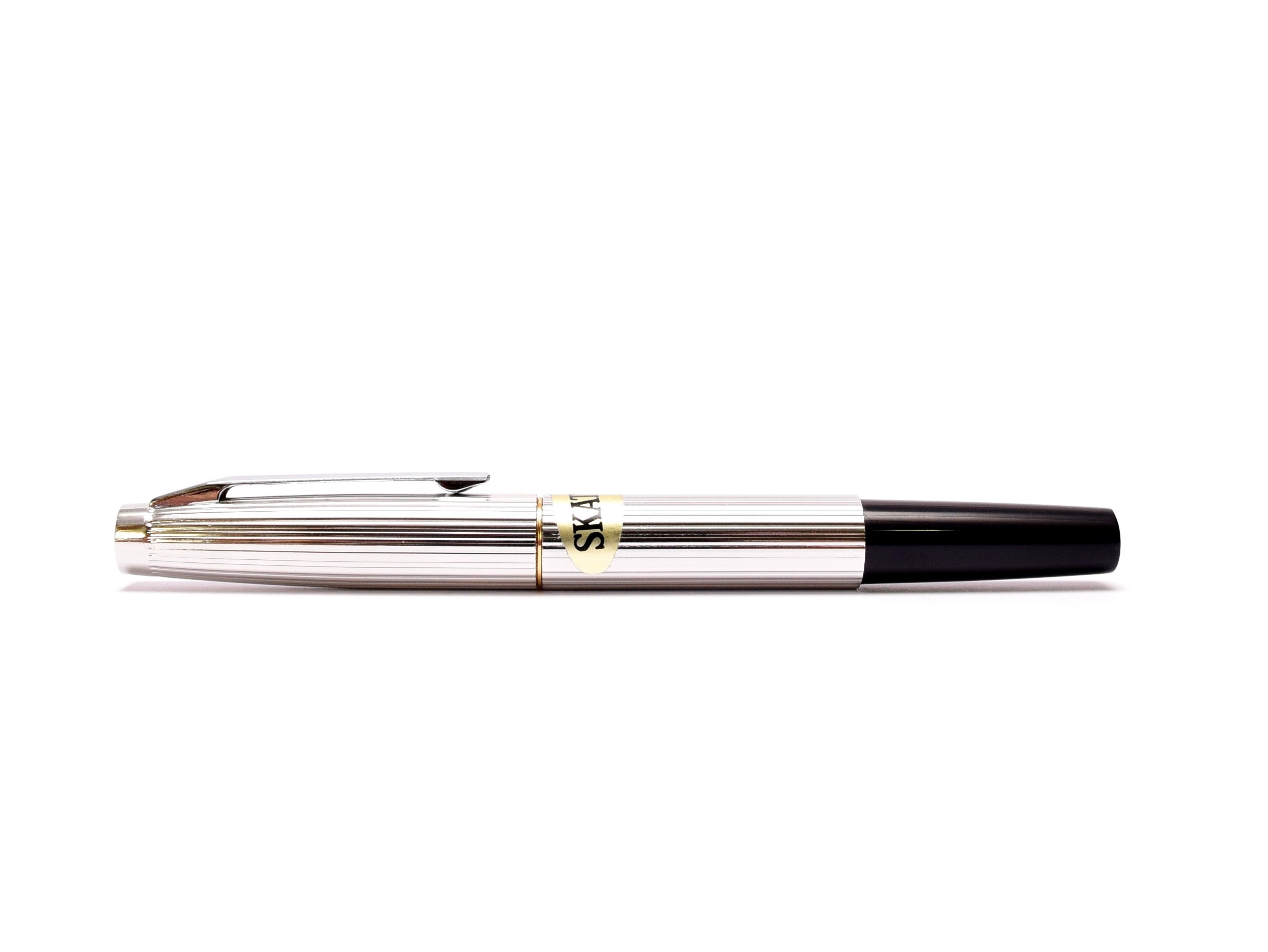 NOS Vintage Skater EF Extra Fine Steel Nib Fountain Pen with Aerometric ...