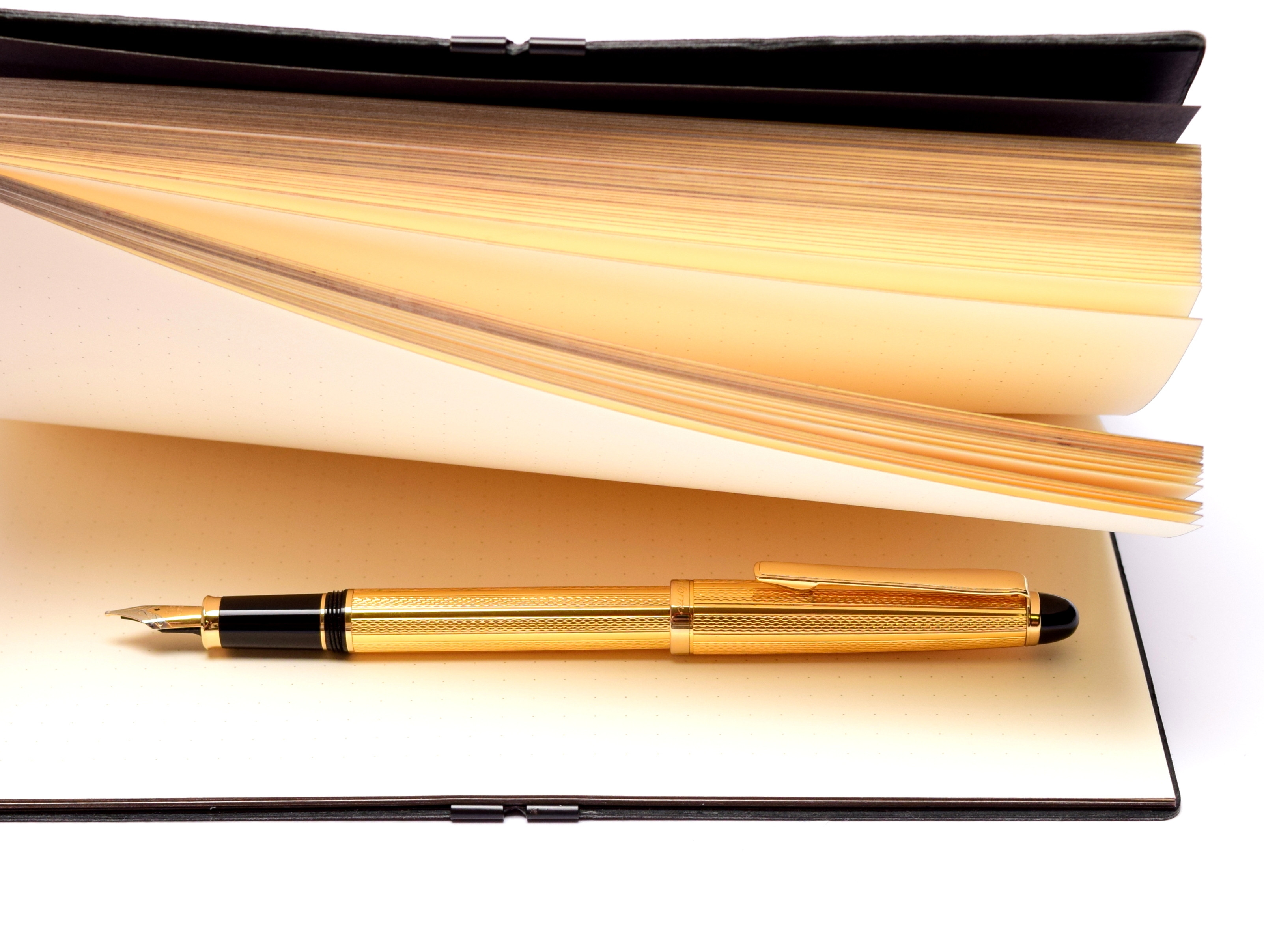 Rare 1980s Modern Reform Gold Plated Barelycorn Guilloce Two Tone Nib ...